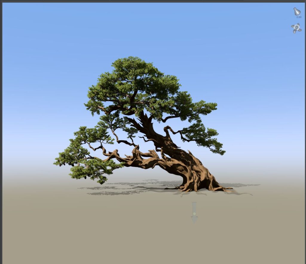 Pine Tree - Games Artist